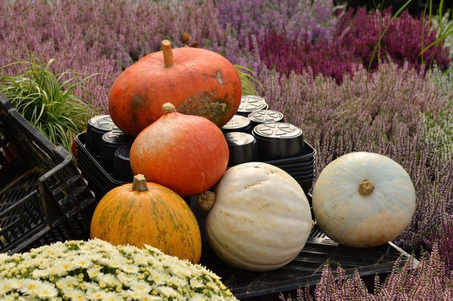 Яке свято 12 вересня і що сьогодні не можна робити. Читайте на UKR.NET